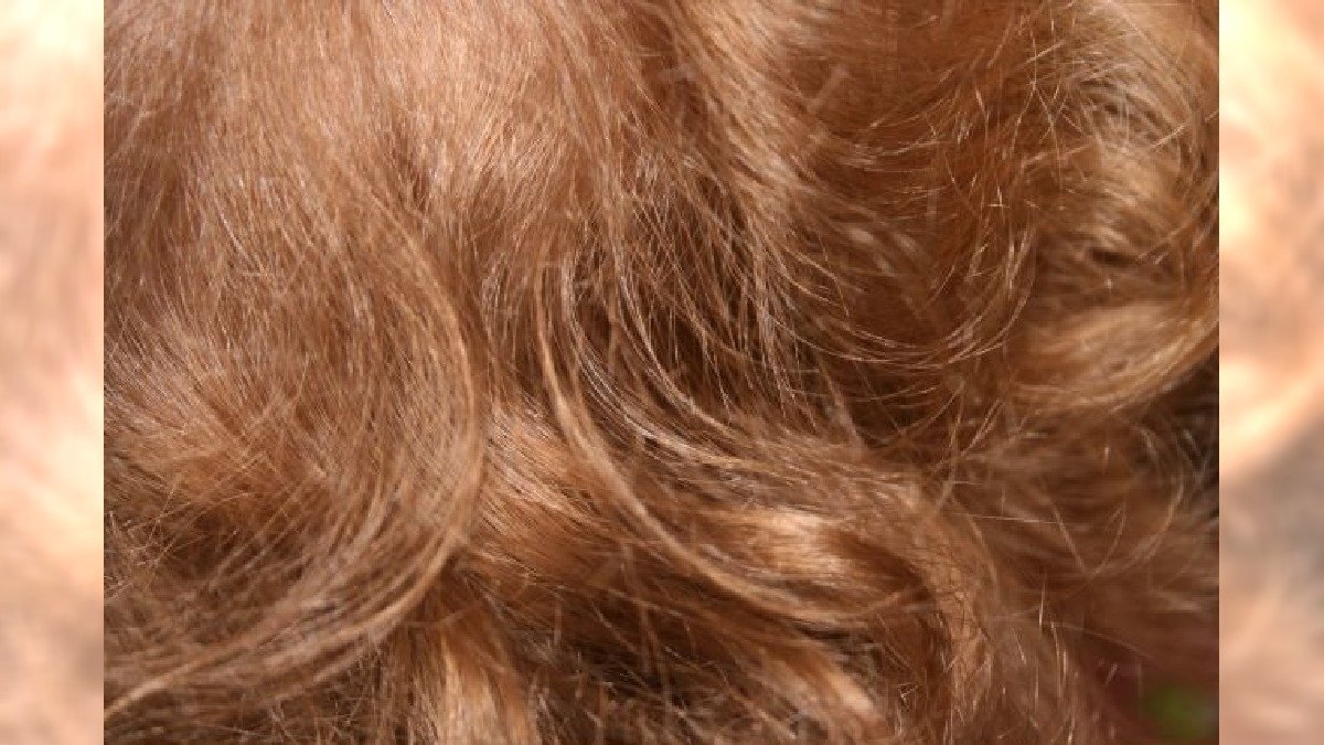 Jak używać gofrownicy do włosów?