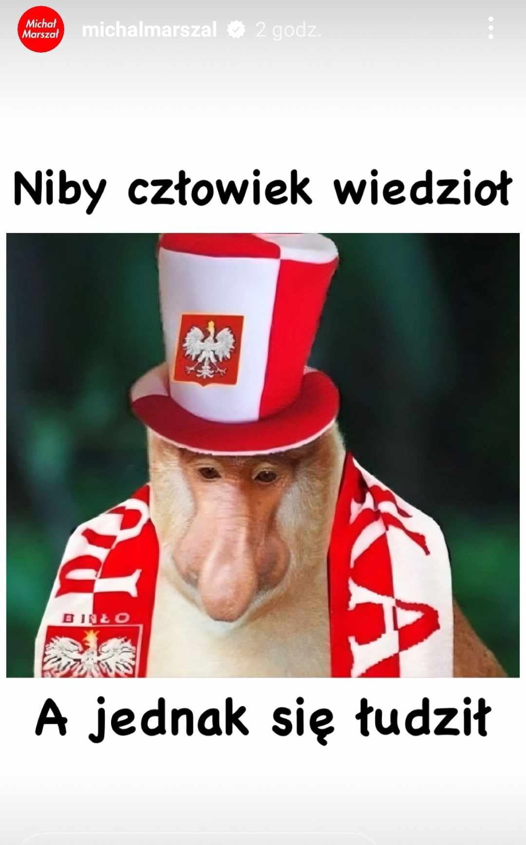 Euro 2024: Polacy przegrali 1:2 z Holandią, ale grali pięknie [memy]