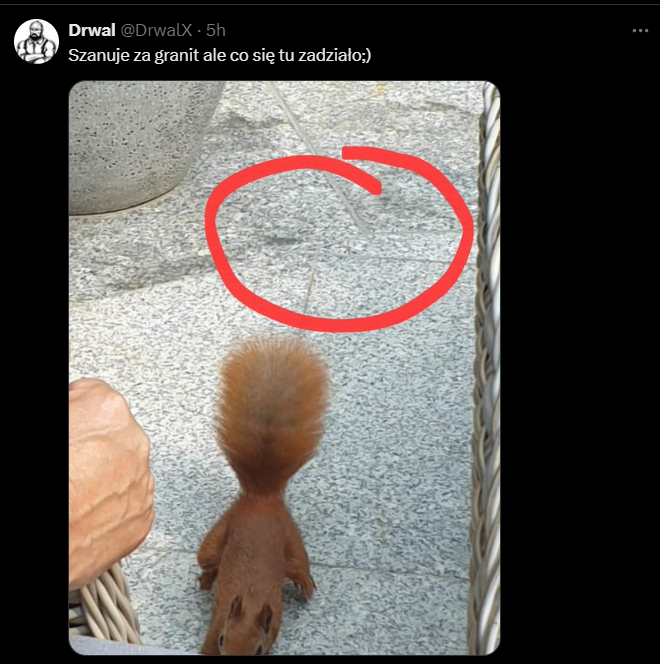 Rudy Donek spotkał się z rudą Baśką. Fani zwrócili uwagę na jego bruk ...