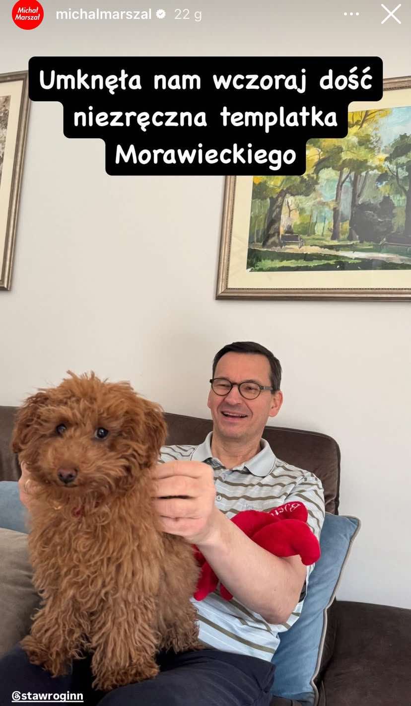 Mati w pasiaku zapozował z psem. Mina czworonoga wyraża więcej niż ...