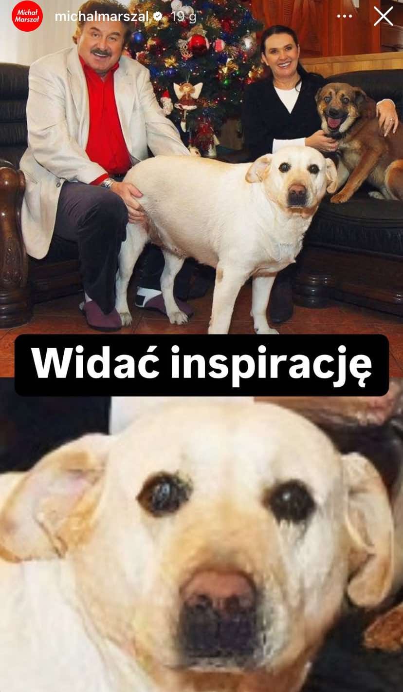 Mati w pasiaku zapozował z psem. Mina czworonoga wyraża więcej niż ...